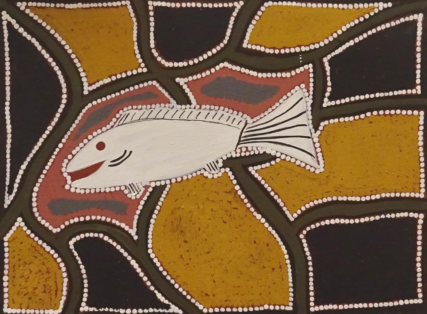Ju Ju Wilson / Barramundi (1B)