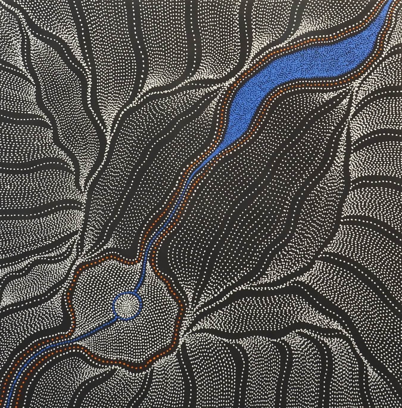 Anna Price Petyarre / My Country (16D)