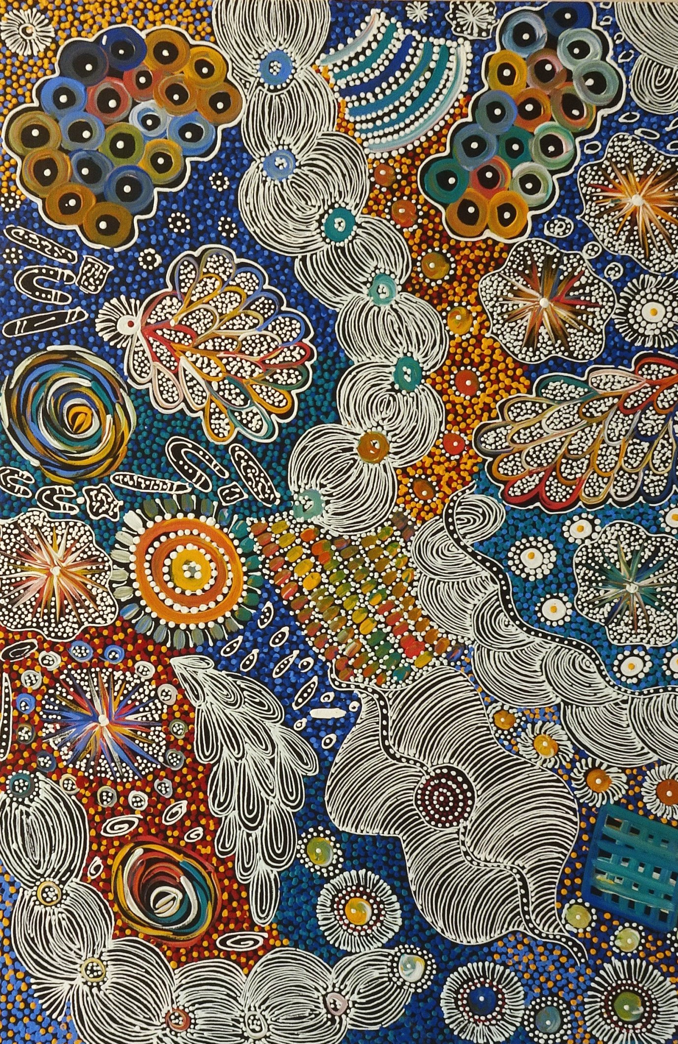 Janet Golder Kngwarreye / Women's Dreaming (7D)