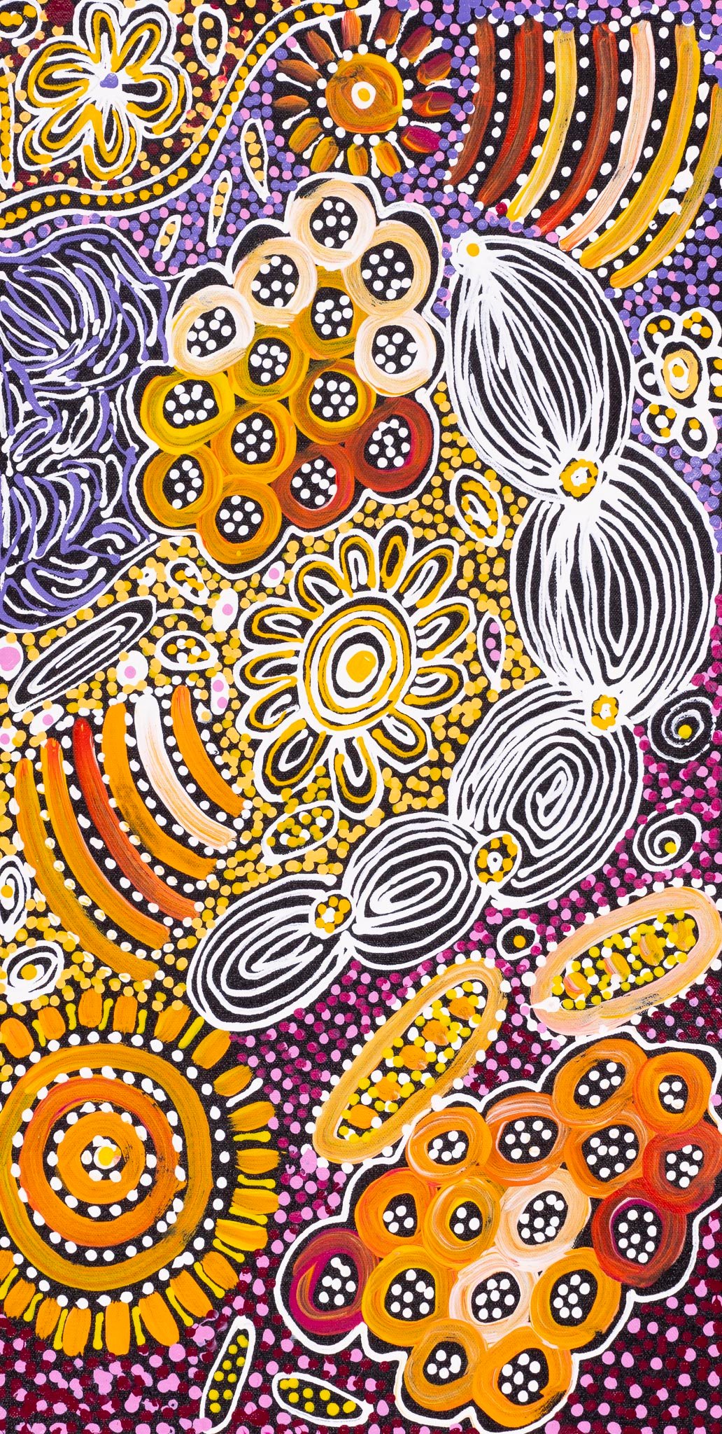 Janet Golder Kngwarreye / Women's Dreaming (JG103)