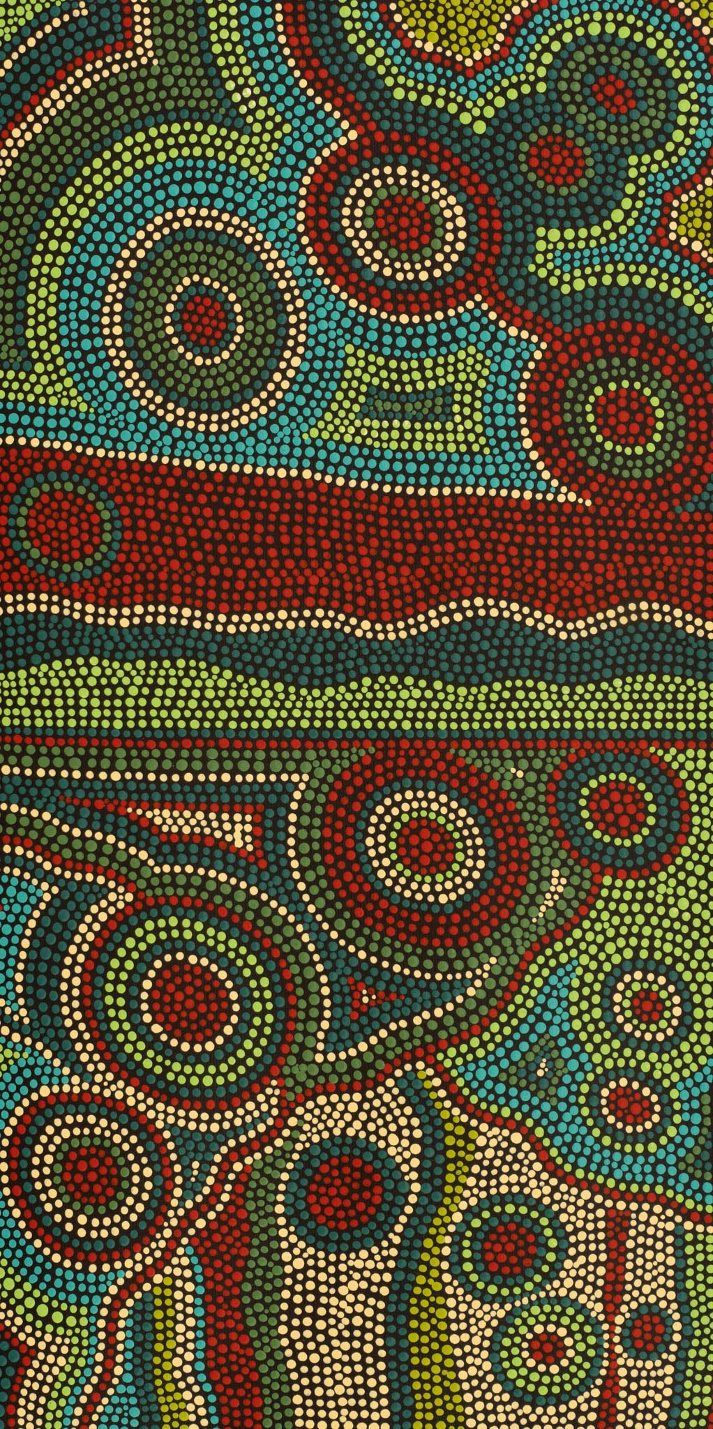 Arkeria Rose Armstrong / Dhaymarr (ARA0521)