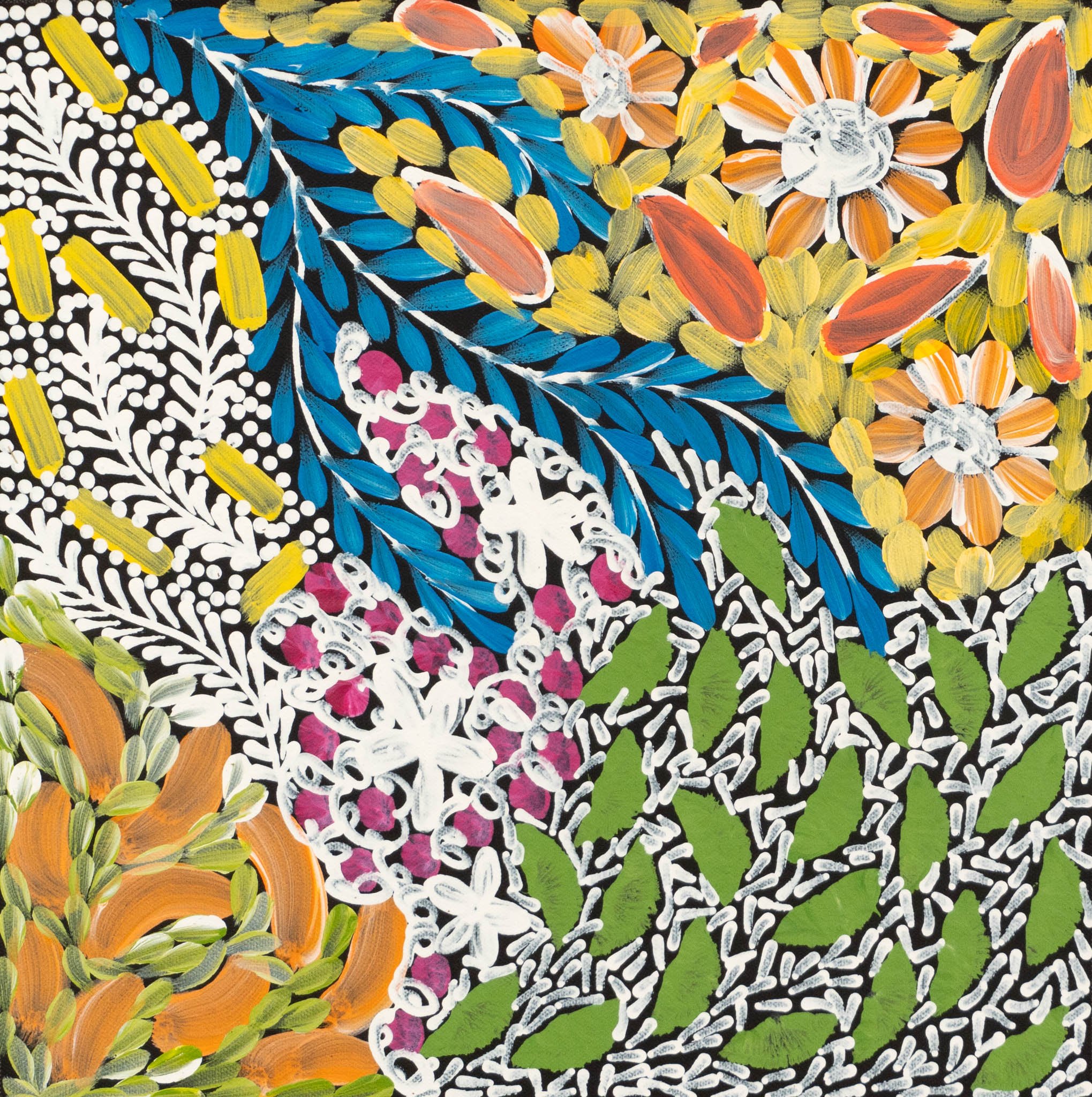 Karen Bird Ngale / Bush Medicine Dreaming (KBN10)