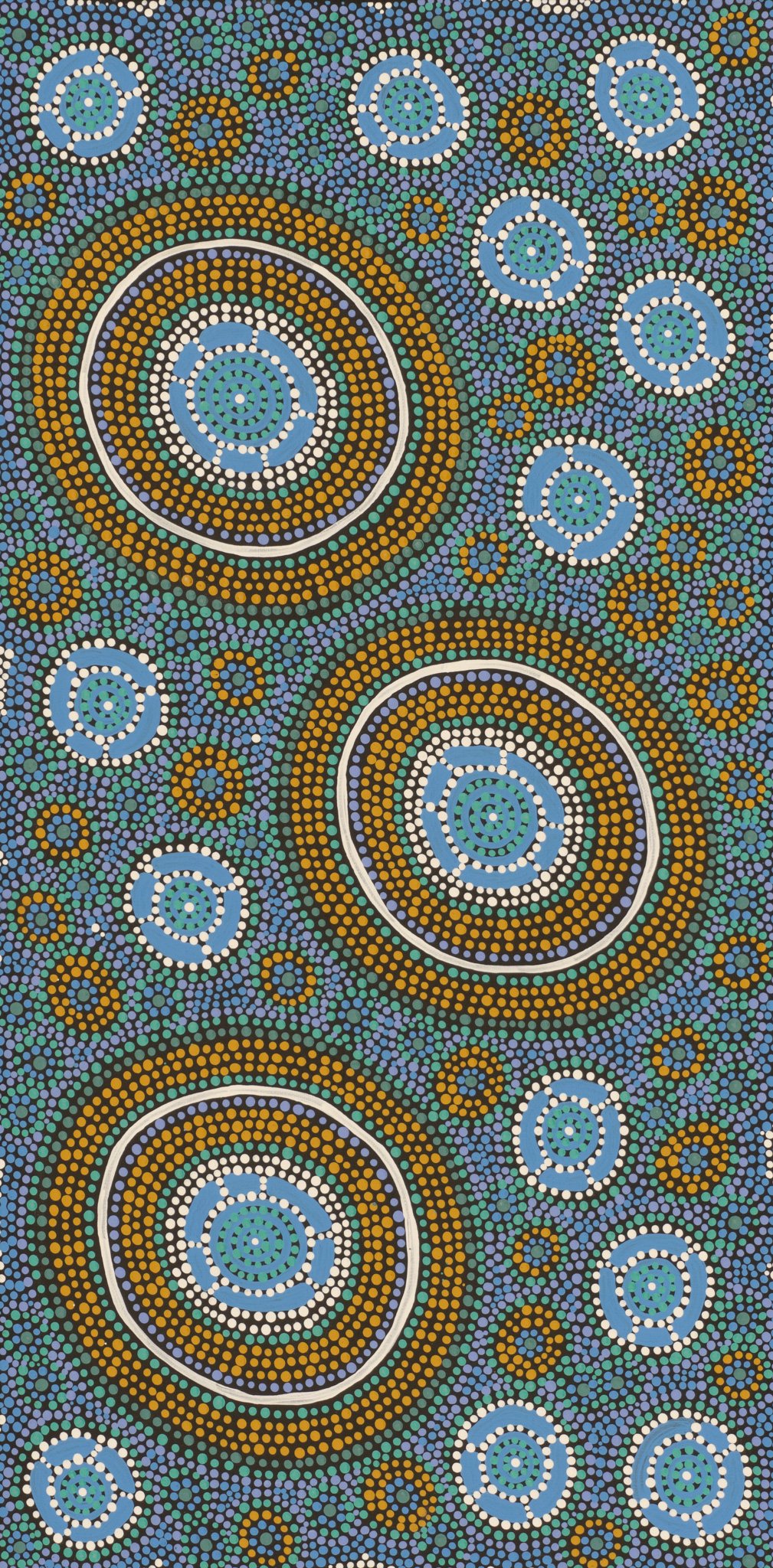 Arkeria Rose Armstrong / Bagay Maarama (ARA0580)