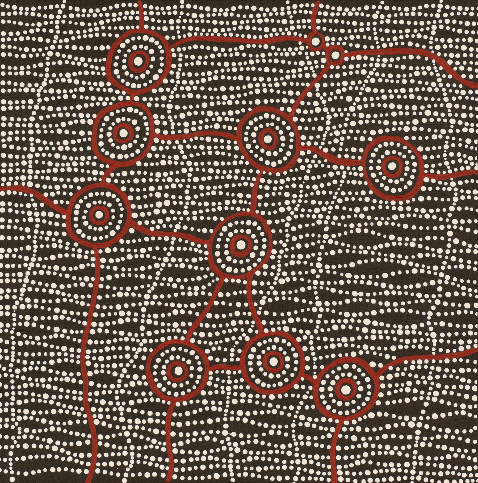 Arkeria Rose Armstrong / Gamilaraay Spirits (ARA0595)