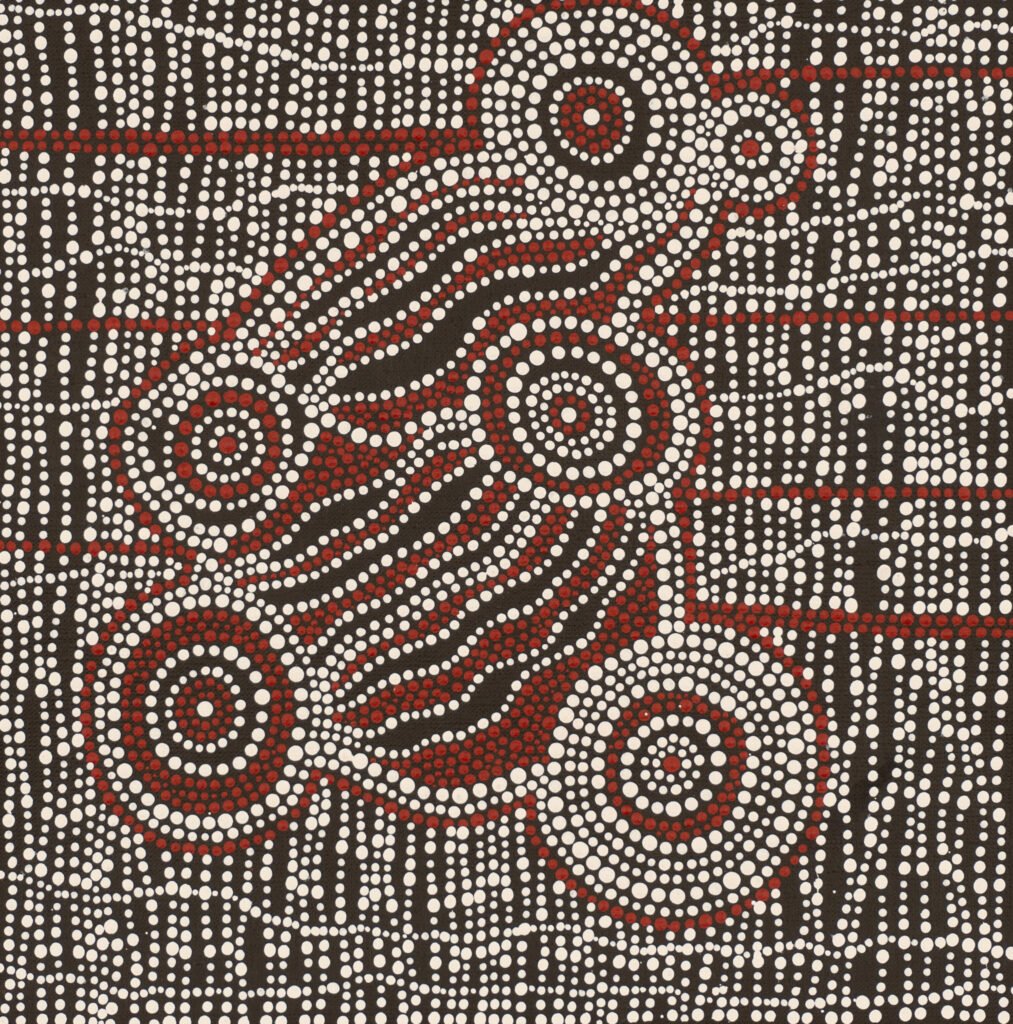 Arkeria Rose Armstrong / Black Soil (ARA0596)