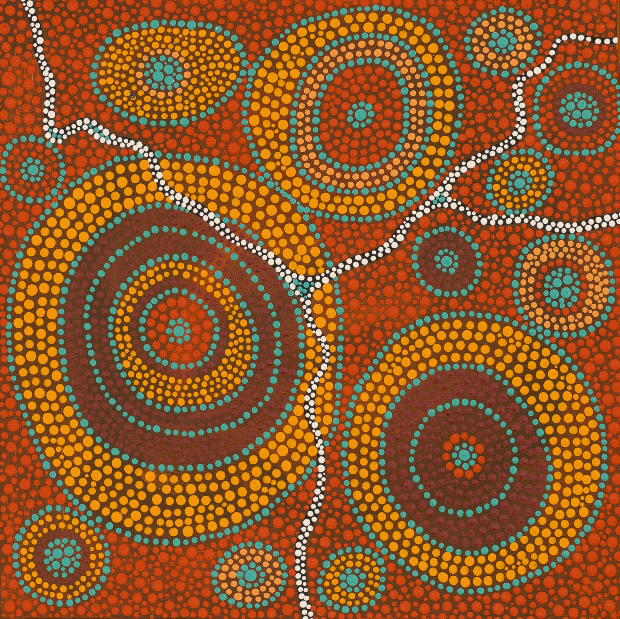 Arkeria Rose Armstrong / Kimberley Dreaming (ARA0605)