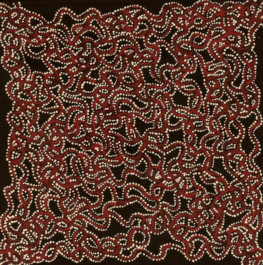 Geraldine Napangardi Granites / Snake Vine Dreaming (986-24)