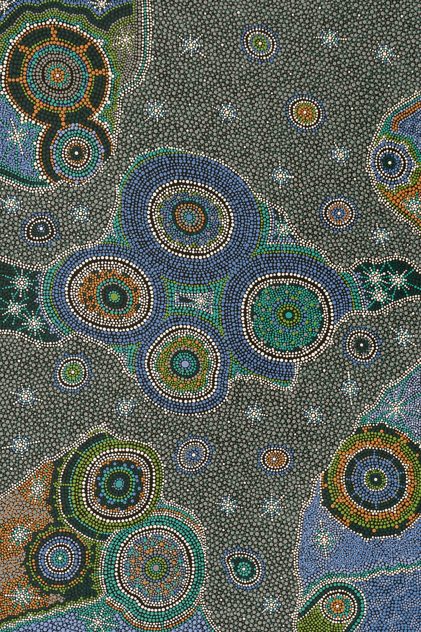 Arkeria Rose Armstrong / Yarraan (ARA0624)