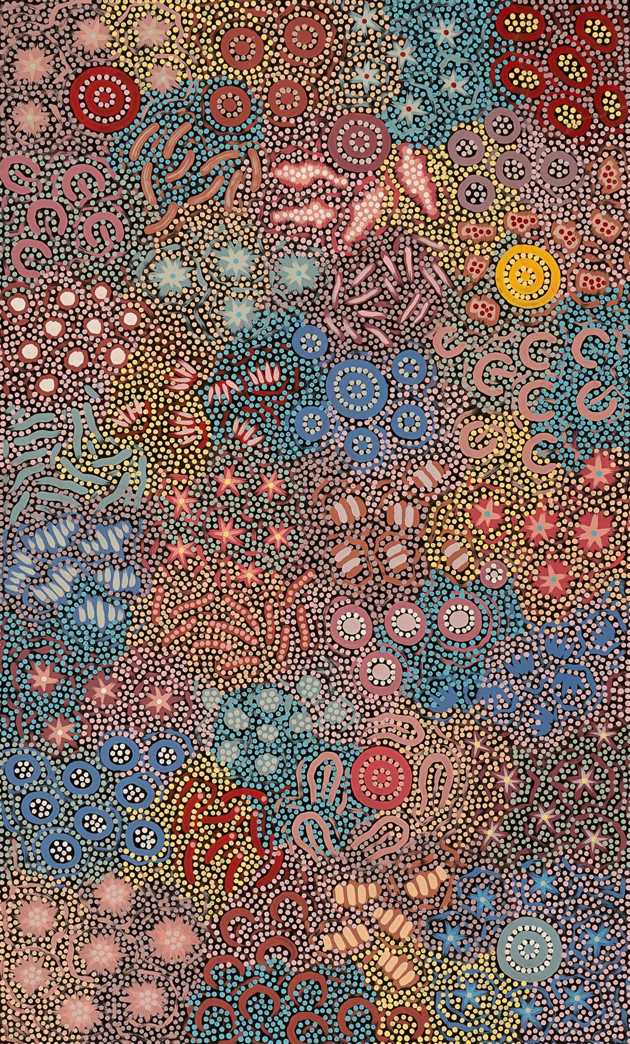 Azeza Possum / Women's Dreaming - My Great Grandmother's Country (KFA2471)