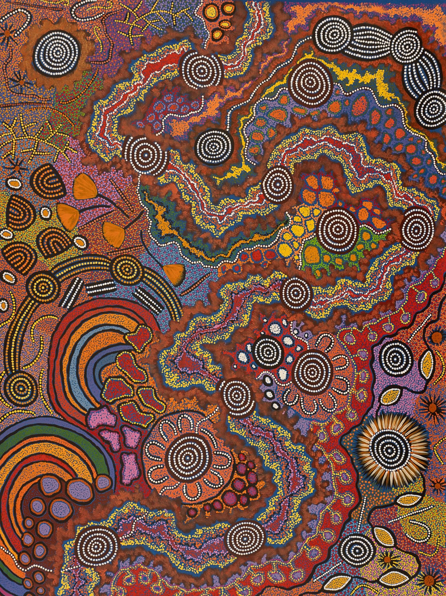 Damien and Yilpi Marks / My Country (19330)