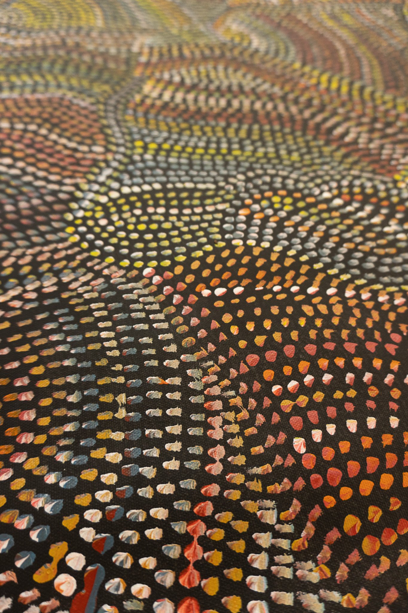 Joy Petyarre / Yam Seed Dreaming (JP015)